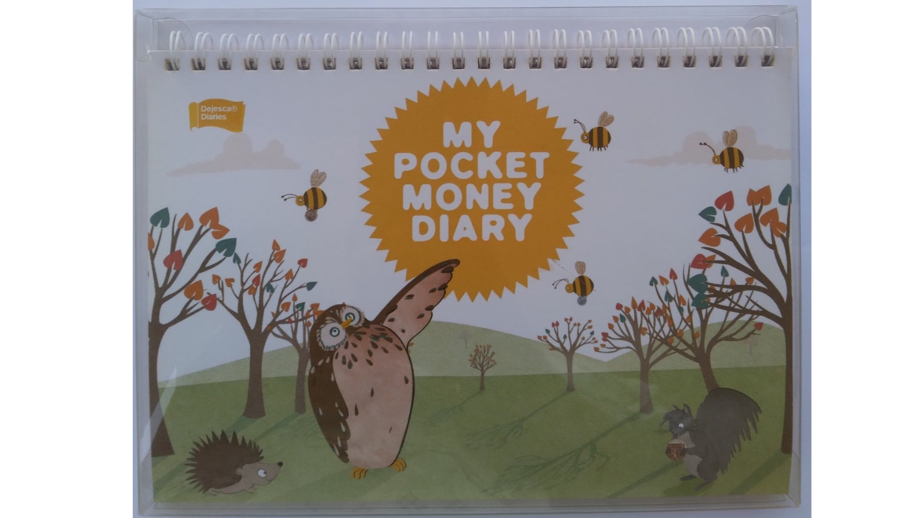 UK Children s Pocket Money Diary Early Financial Education Tool